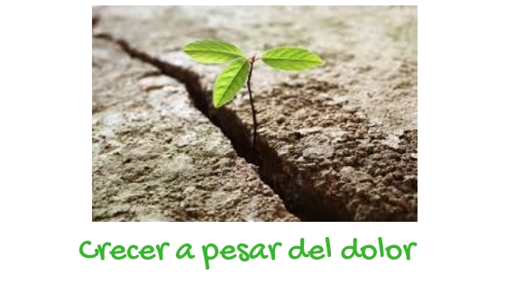 Día Mundial contra el Dolor | Dra. Herraiz: Médico y paciente